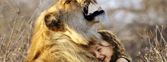 Top 10 Amazing Relationships Between Animals And Humans!
